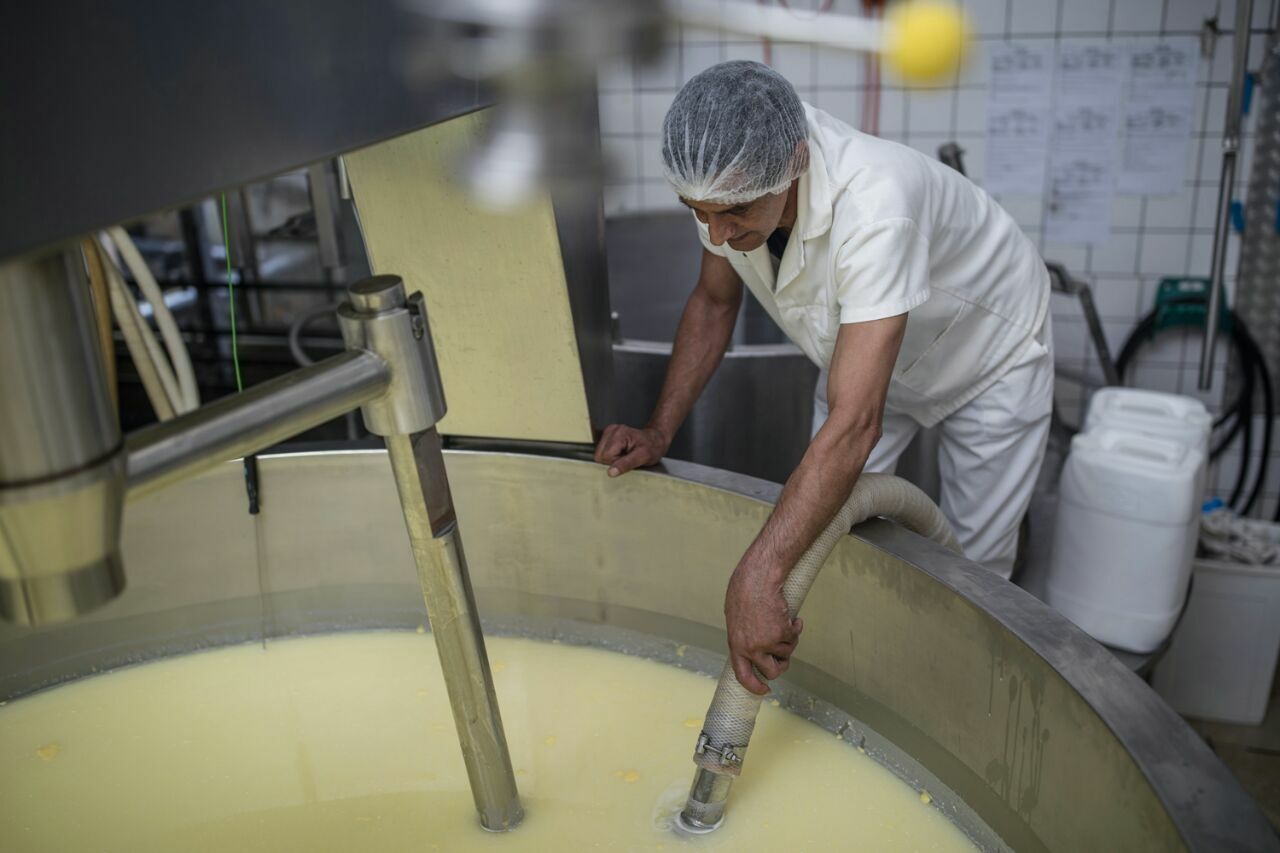 Van kalf tot kaaskop